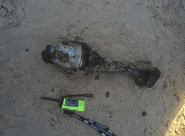 Unexploded mortar bomb washes up on Norfolk beach